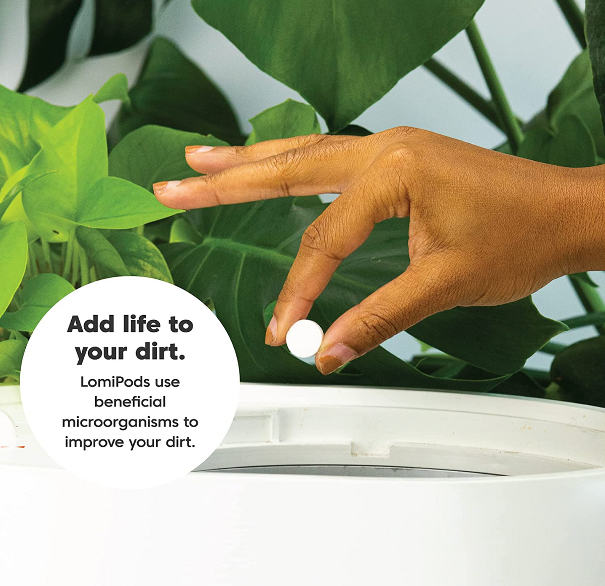 Lomi Pods – Chickpeace Zero Waste Refillery